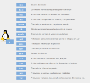 El Árbol de Directorios de Linux. Conoce las Principales Carpetas ...